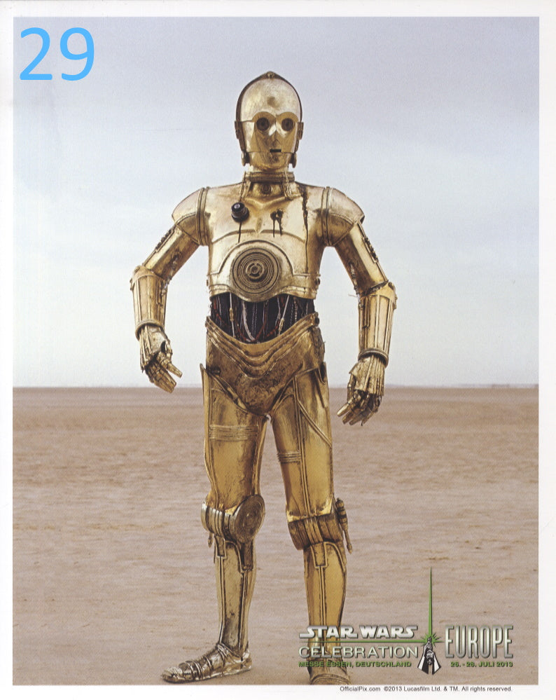 29 - C-3PO Tatooine Celebration Blank 8"x10" Photo – Celebrity Ink ...